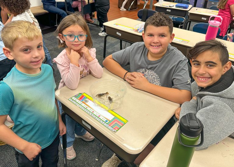 Students Learn About Crayfish Together - Schalmont